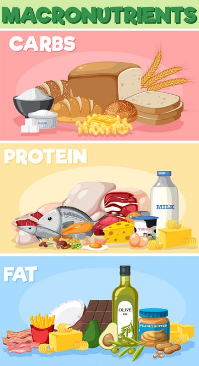 Macros Explained: Proteins, Carbs and Fats Made Easy